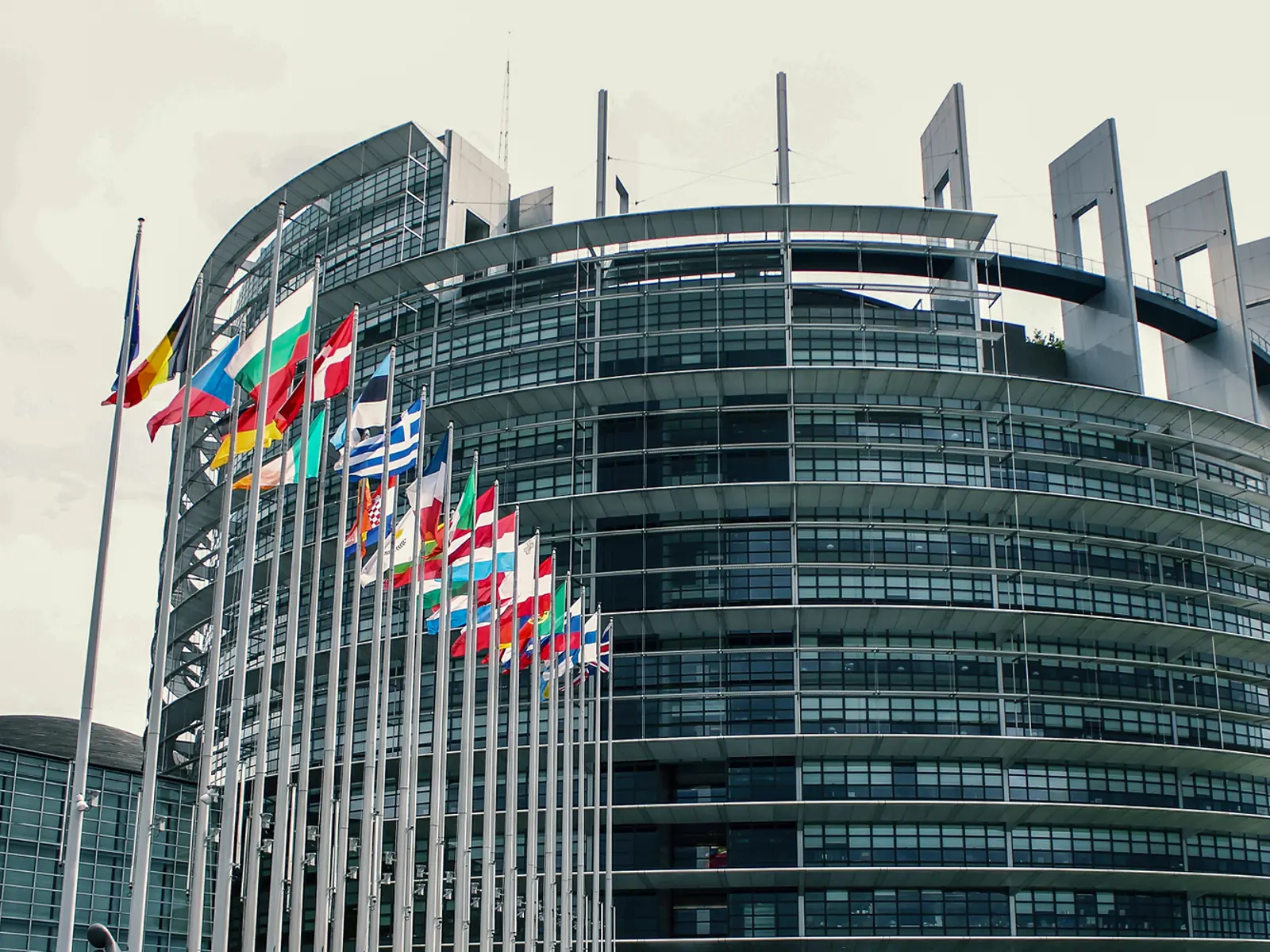 A propos de nous | KPMG Law Belgium